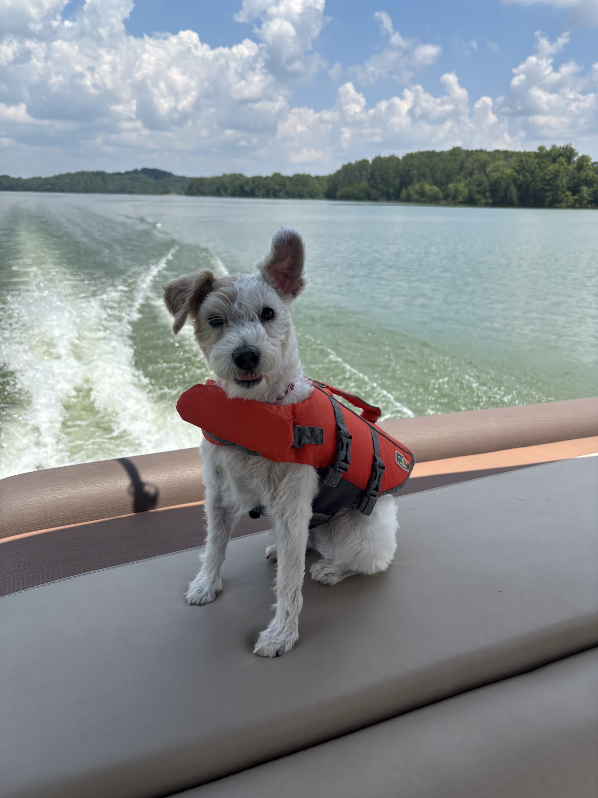 Daisy - Lets Be Blount